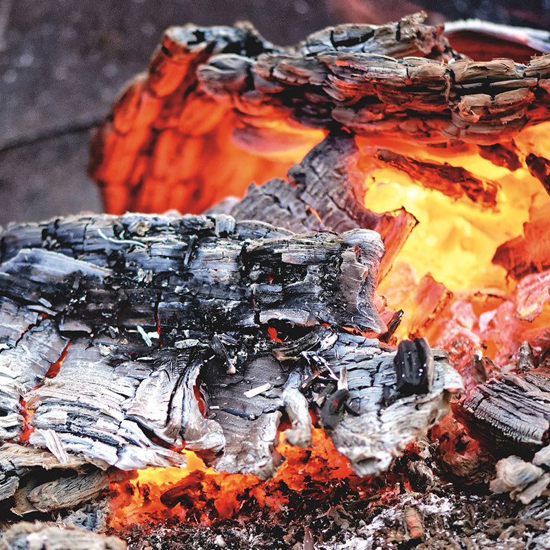 Using Wood Ash in the Garden – Surefire Wood ROI